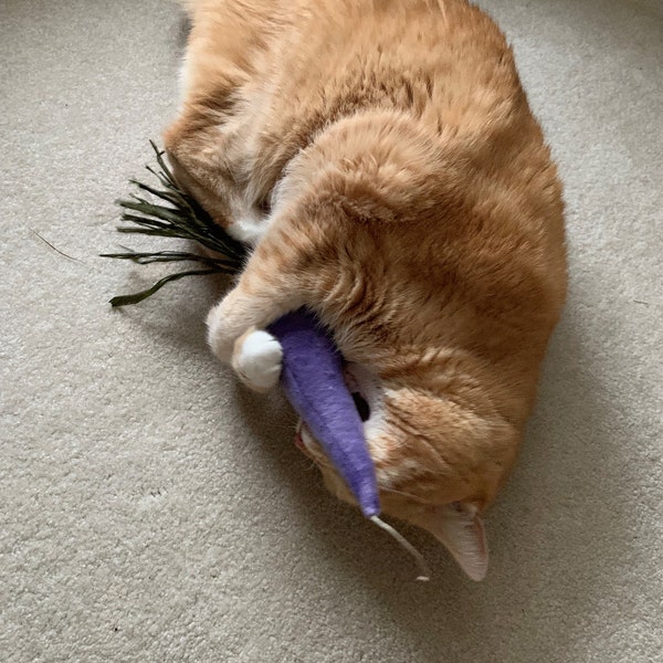 Orange Carrot Catnip Toys. - Etsy