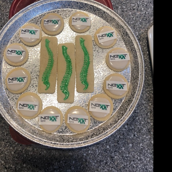 Human Spine Cookie Cutter – Backbone Anatomy Shape for Medical Student ...