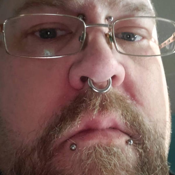 2g 4g 6g 8g Hinged Clicker Segment Ring Hoop Earring Ear Black Gold ...