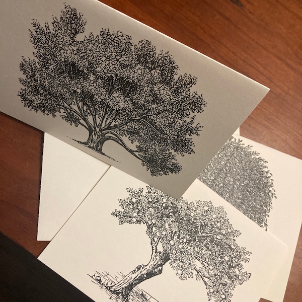 Tree Note Card Set of 10 in White or Light Ivory With Matching ...