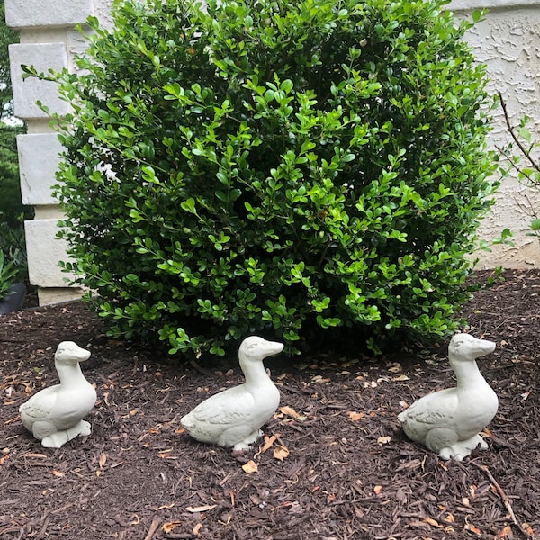 VINTAGE DUCK FAMILY Set/4 (color Options): Solid Stone Goose Statue ...