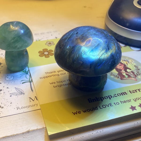 Bubble Capsules BULK Crystal Mystery Gift, Intuitive Crystal Pull ...