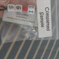Set of Ten 10 Dunk Bag and Mess Kit Scout SWAP or Craft Kits - Etsy Canada