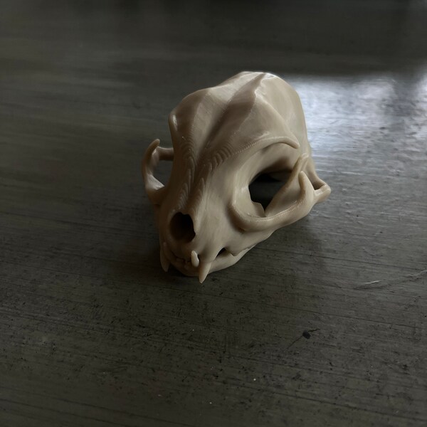 Domestic Cat Skull • Replica Animal Skull • 3D Printed - Etsy