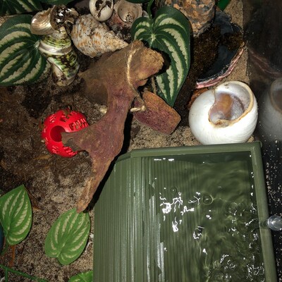 Palworld Palshpere 3D Printed Decor Prop Gamer Gift Palsphere Palworld ...