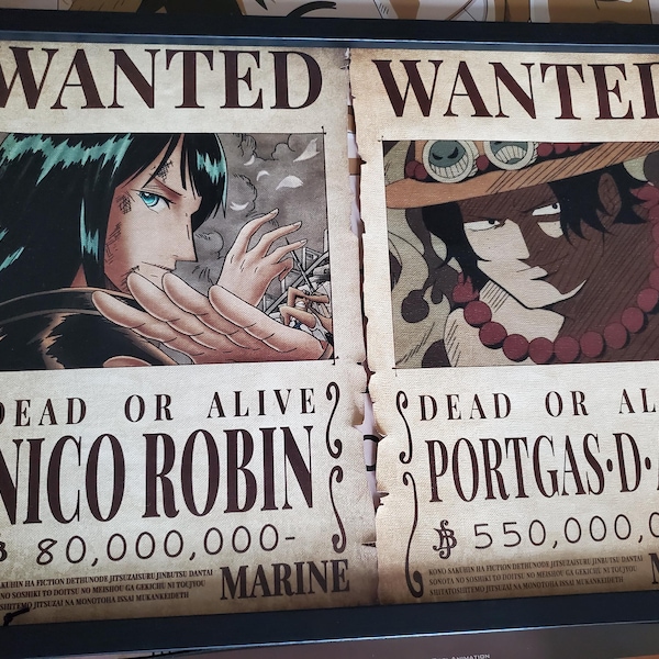 Anime One Piece Wanted Poster: Fanart Canvas Scroll (12x18in) - Etsy
