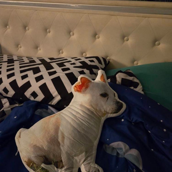 Photo Customization DIY Dog Cushion Pet Plush Toys Dolls Stuffed Animal ...