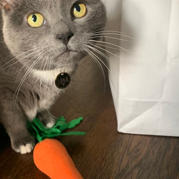 Catnip Radish, Catnip Turnip, Vegetable Cat Toy - Etsy