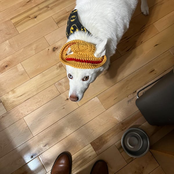 One Piece Anime Handmade Crochet Hat Tony Chopper Blue & Pink Hat ...