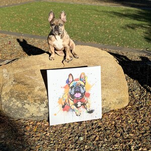 Staffordshire Bull Terrier Canvas Print. Unique Abstract Colourful ...