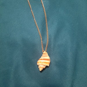 Real Seashell Necklace on Stainless Steel Chain. Scallop Shell Mermaid ...
