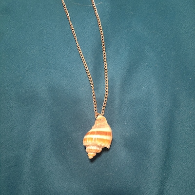 Real Seashell Necklace on Stainless Steel Chain. Scallop Shell Mermaid ...