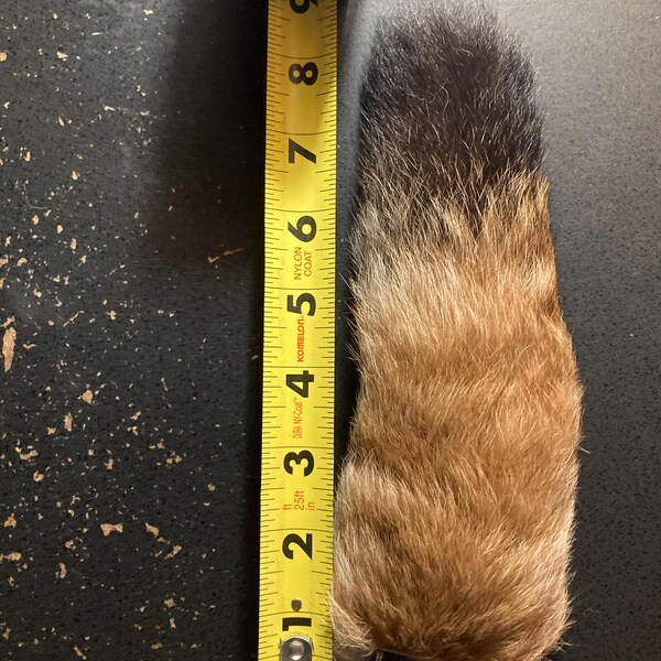 Tanned Red Fox Professional Soft Tanned Silky Fur. Eastern Red Fox - Etsy