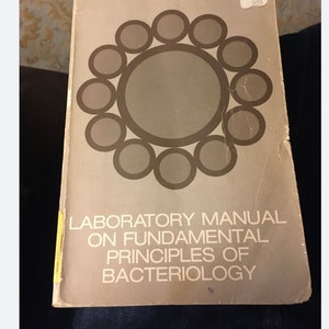 Popeye ghost Ship to Treasure Island 1967 Hardcover - Etsy