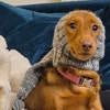 Great Dane Knitted Toy With Valentine Bow - Etsy