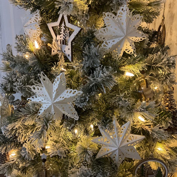 Snowflake/star Ornaments 5 Designs SVG EPS - Cricut Project - Etsy