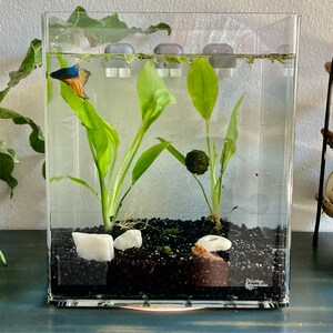 DIY Self Cleaning Conversion Kit for Anchor Hocking 2 Gallon - Etsy