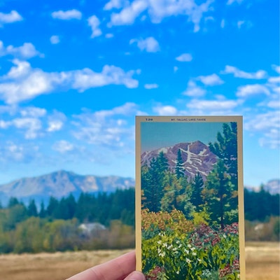 Wedding Postcards Vintage Postcard Guestbook Blank Postcards Save the ...