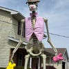 12 Ft Skeleton Pirate Costume!!!! (skelleton Not Included) - Etsy