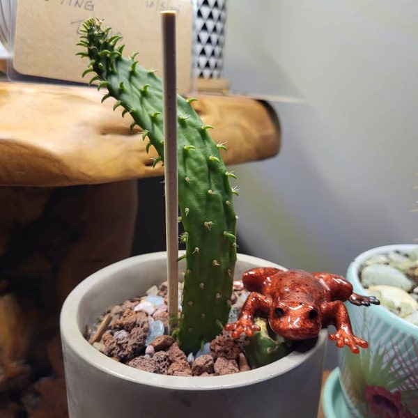 Cupped Hands Resin Planter Pot, Catch-all Dish, Jewelry Holder, Key ...