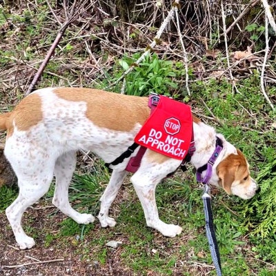 Vest select Your Size, STOP Do Not Approach, Light Weight Sd Style Vest ...