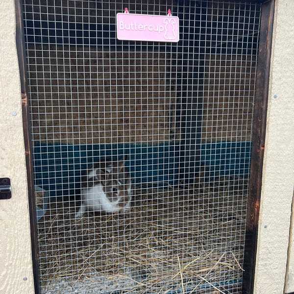 Personalized Rabbit Name Sign, Custom Cage Nameplate, Bunny Pet Tag ...