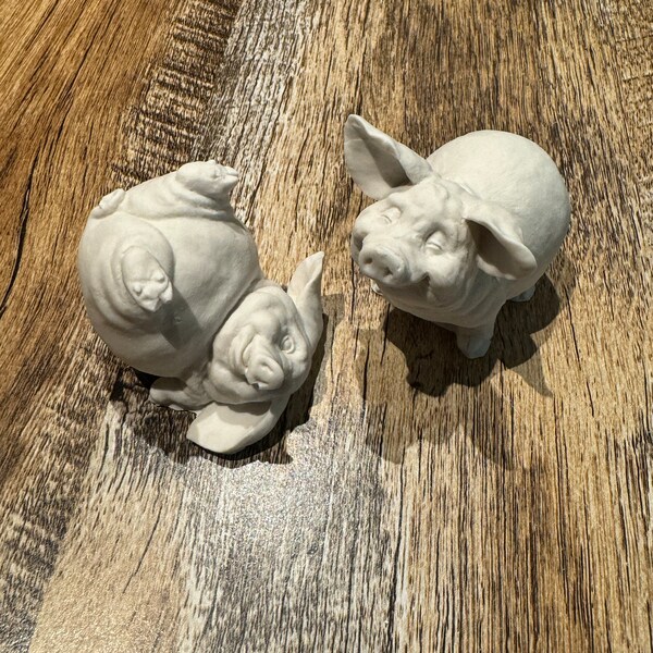 Fake Human Teeth Tooth Mould Silicone Mold Dentist Dental Teeth Dentist ...