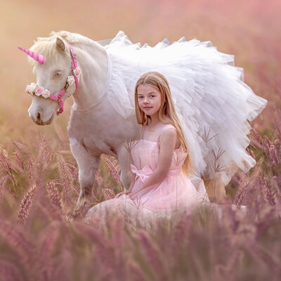 Dragonflies and Sunflowers Digital Paper Seamless Dragonfly Patterns ...