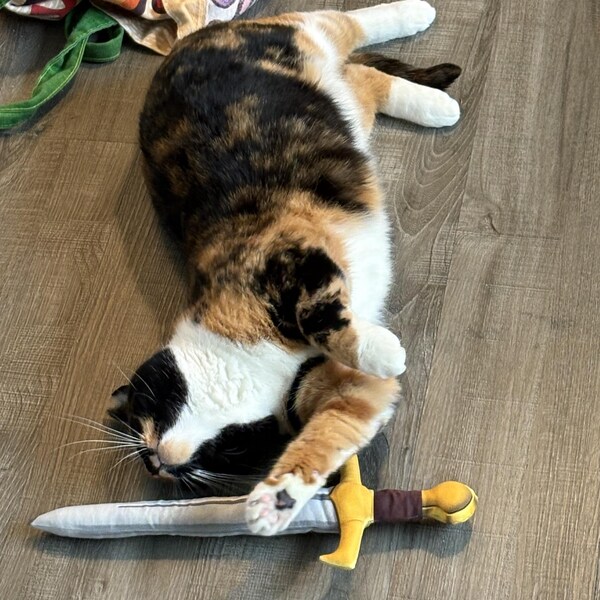 Epic Items Catnip Toy Arming Sword, Kitty Kicker, Filled W/certified ...