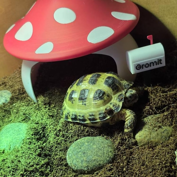 Reptile Climbing Ramp, Bearded Dragon Basking Platform, Rock Wall ...