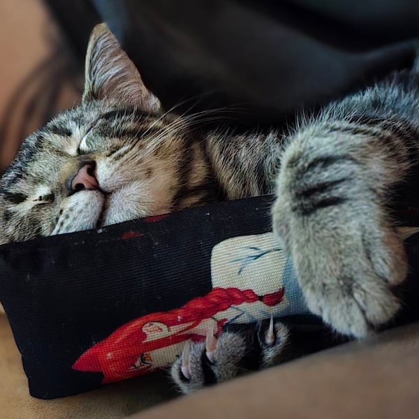 Custom Dnd Class Cat Sticker Pack | Dnd Cat Stickers | Dnd Stickers ...