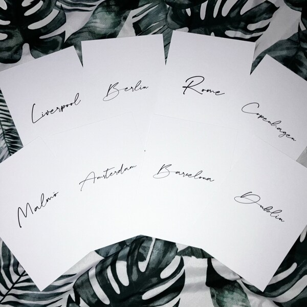 Sage Green Order of the Day Wedding Timeline Sign Wedding Welcome Board ...