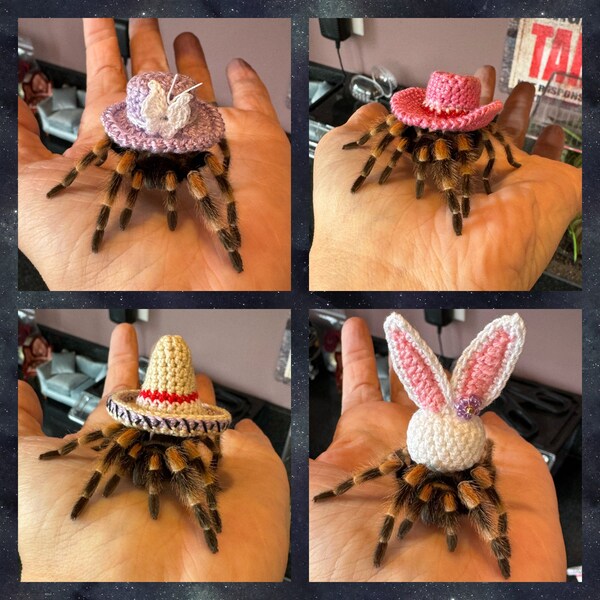 Tortoise Sweater Baby-sombrero. Sombrero Hat for Tortoise, Turtle ...