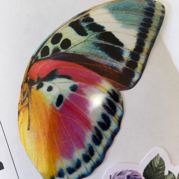 Clear Bookmark Vintage Butterfly Moth Wing Insect Bug Colorful Nature ...