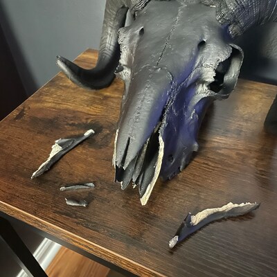 Real Giant European Wild Boar Skin Hooves Hide Pelt Area Rug Hide ...