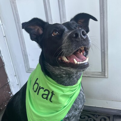 Very Demure Mindful Soft Girl Aesthetic Y2K Hat, Cute Classy 90s Cap ...