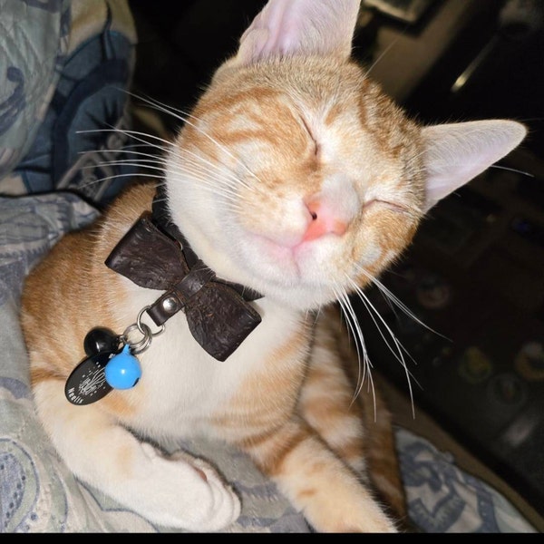 Personalized LED Light up Name Keychain USA Made Color Changing ...