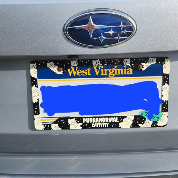 Opossum License Plate, Possum Car Decor, Funny Car Accessories for Men ...