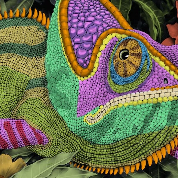 Detailed Animal Sketches 2. A Coloring Collection by Tim Jeffs - Etsy