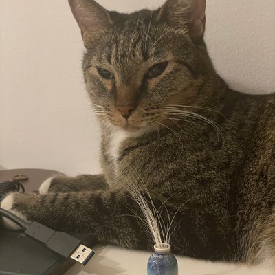 Micro Black Cats,tiny Ceramic Cat Figurine,miniature Cats,ceramic Cat ...