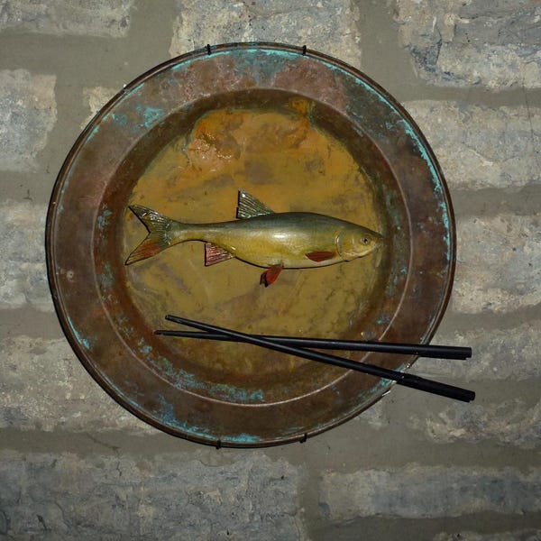 Golden Cod, Marblehead Cod, the Mascot of Marblehead, 5-10 Inch Inches ...