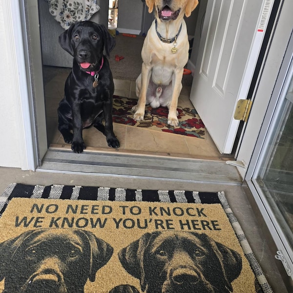 Hope You Like Cats, Cats Peekaboo, Hope You Like Cats Doormat, Welcome ...