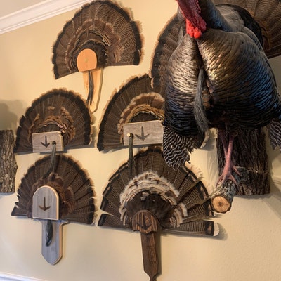 Turkey Fan Plaque - Etsy