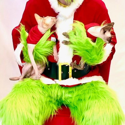 Matching Cat Tank Tops Funny Matching Cat Shirts Matching - Etsy