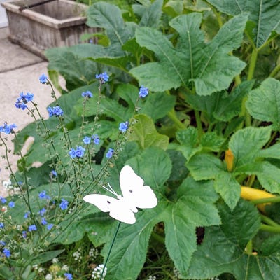12 Cabbage Moth Decoy, White Butterfly on Stake, Cabbage Moth Decoys - Etsy