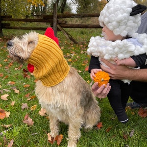 Rooster Chicken Dog Snood Knit Crochet Dog Hat Easter Dog Costume Ear ...