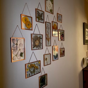 Pressed Flower Wall Hanging Spring Forest Fiddleheads and | Etsy