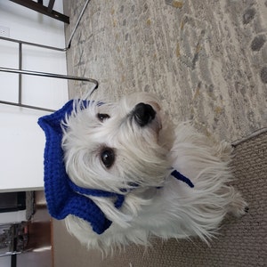 Matching Crochet Human Dog Hats W/ FREE Mini Sketch - Etsy