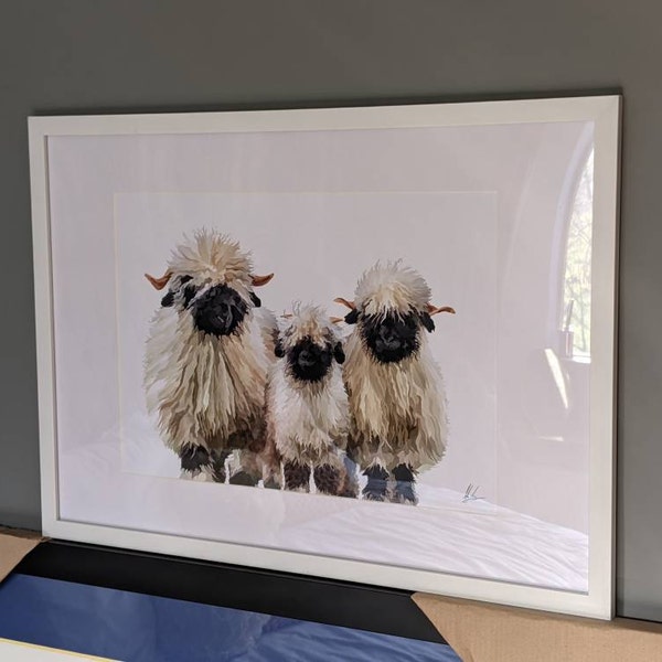 Valais Blacknose Sheep Painting - Valais Blacknose Sheep Art Print ...