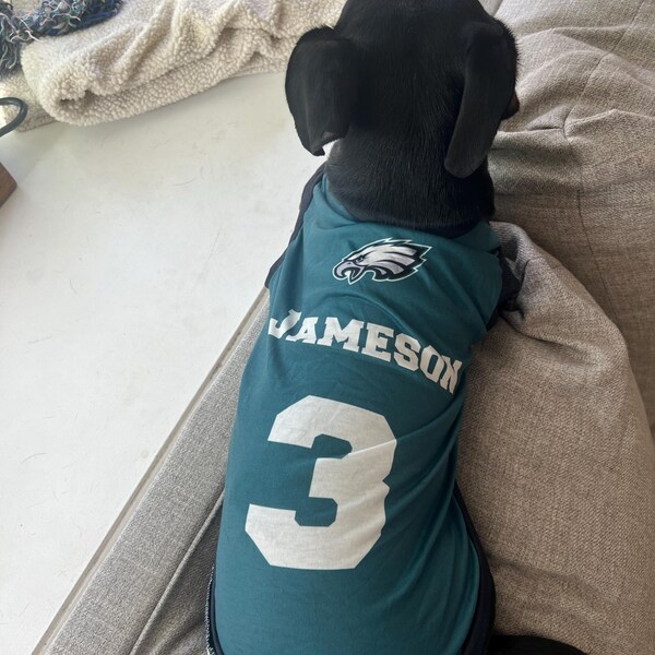 Liverpool FC inspired Personalised Pet Tank Top With Original FC Logo ...